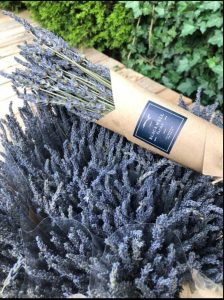 Lavender Ontario - Ontario Lavender Association