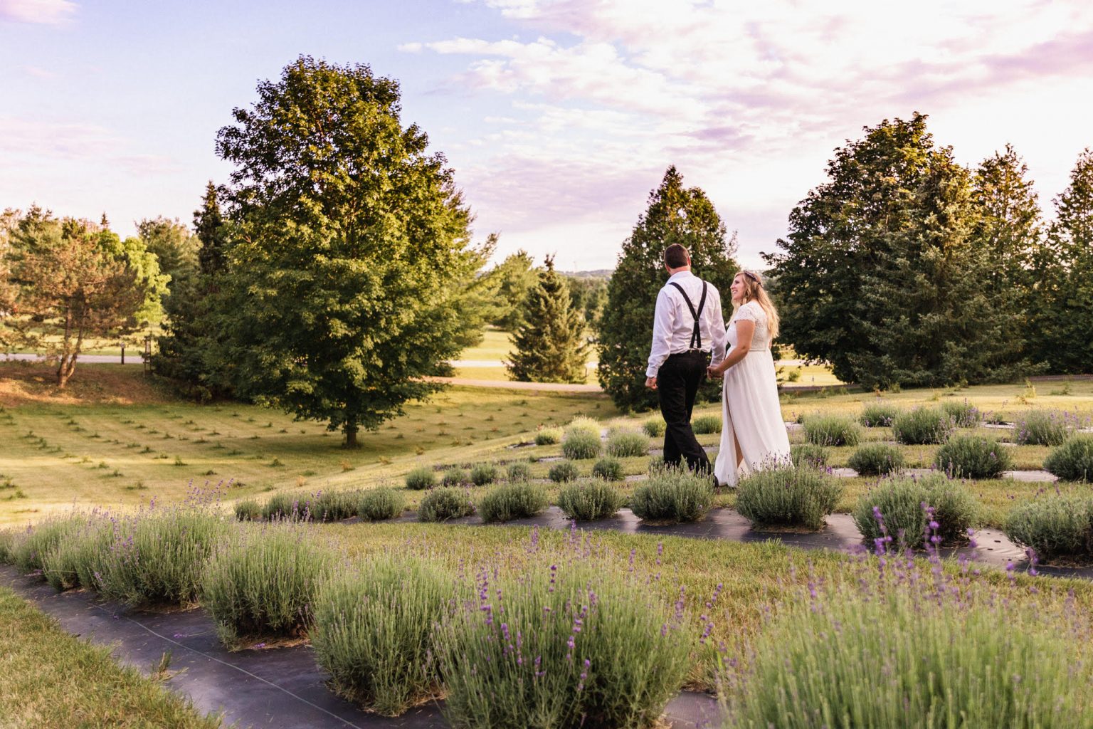 Lavender Ontario - Ontario Lavender Association